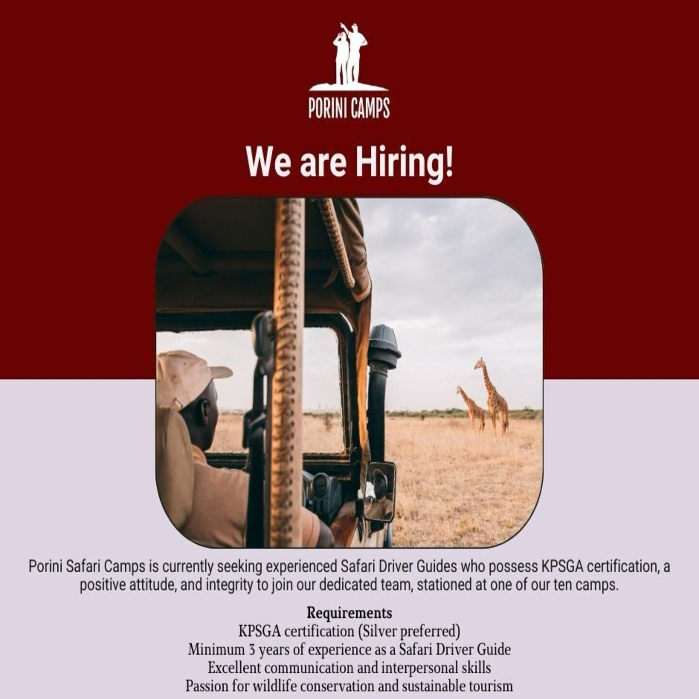 Safari Driver Guide Position At Porini Safari Camps