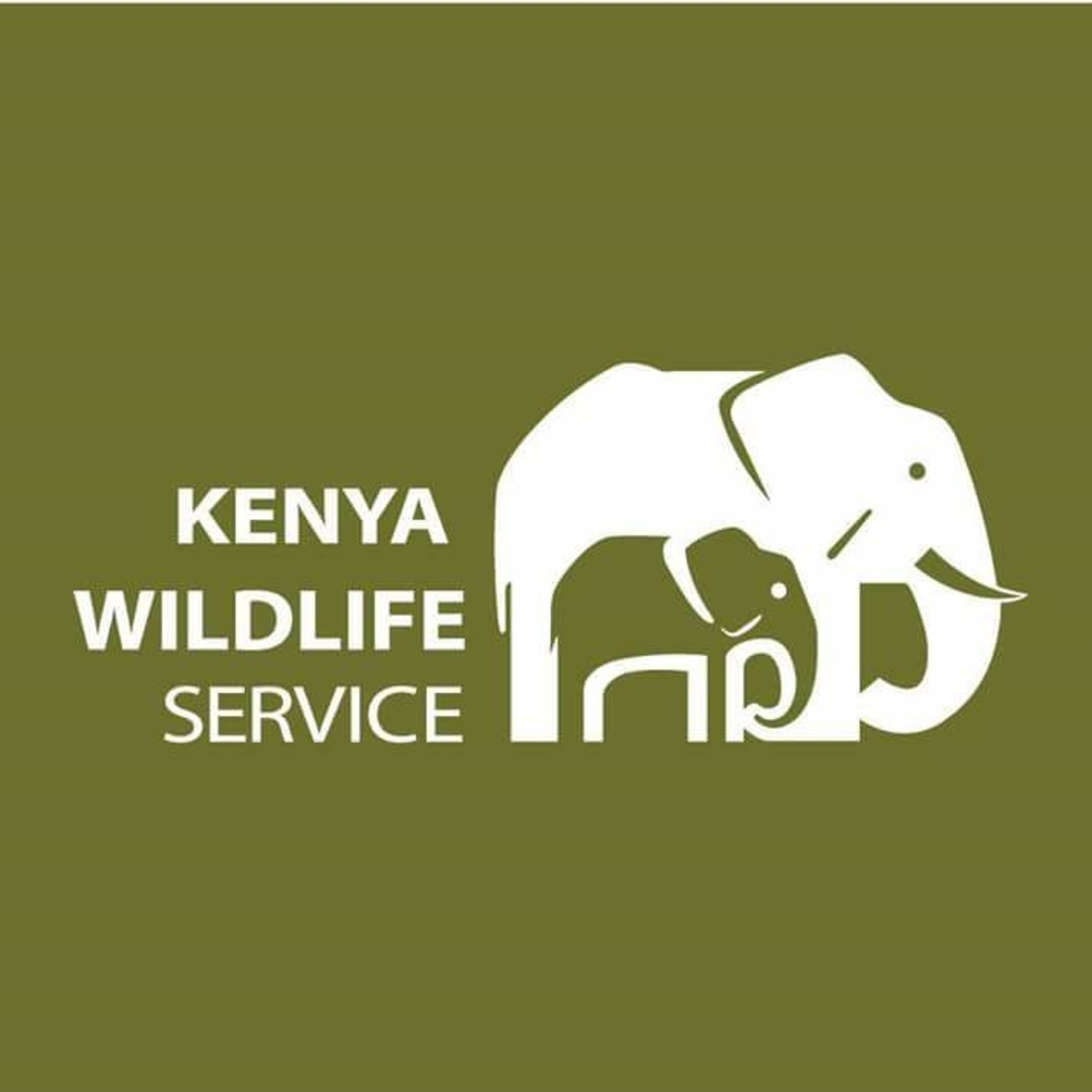 KWS Announces 1,500 Job Vacancies For Cadets (Assistant Warden I) And ...