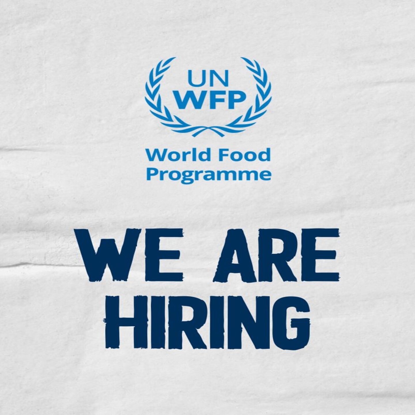 Assistant Storekeeper G3 - The United Nations World Food Programme (WFP ...